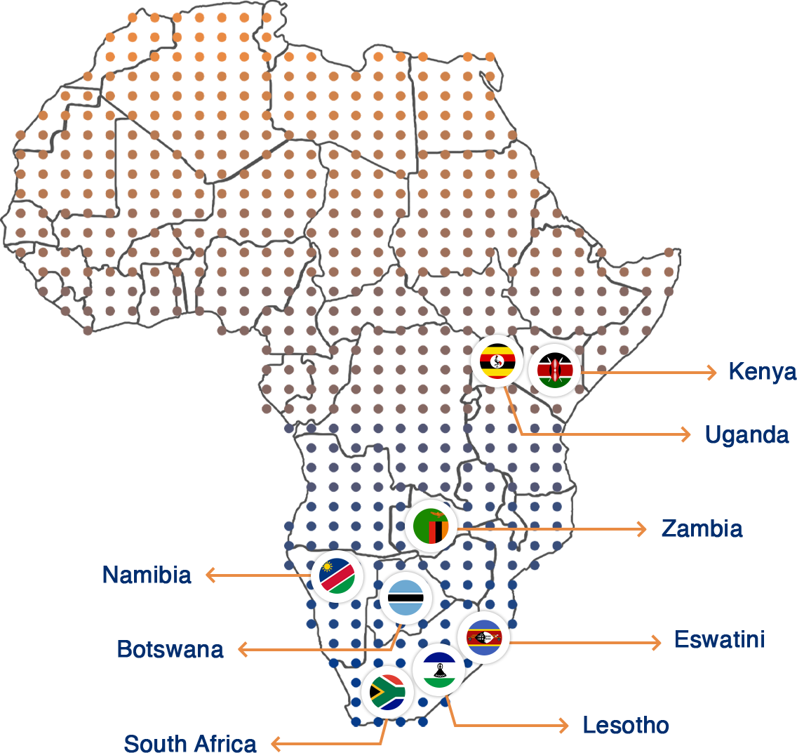 RealPay | Online Payment and Collection Solutions in Africa